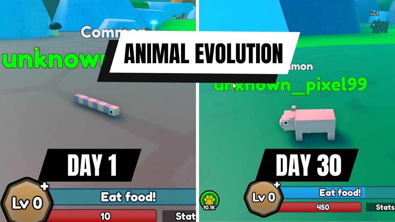 From Caterpillar to Pig?! The Craziest Evolution in Animal Evolution ...