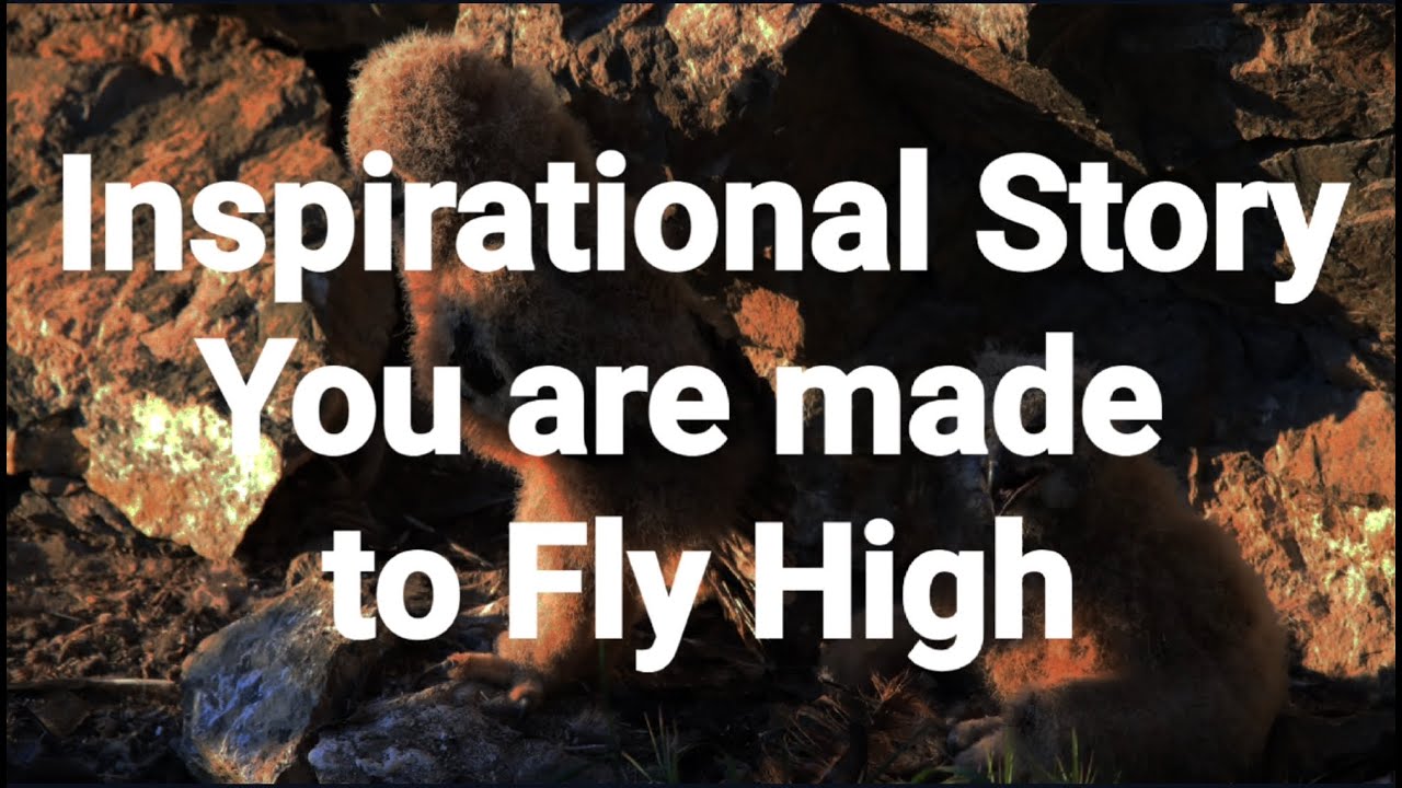 Quotes: Inspirational and Motivational Story about life – You are made ...
