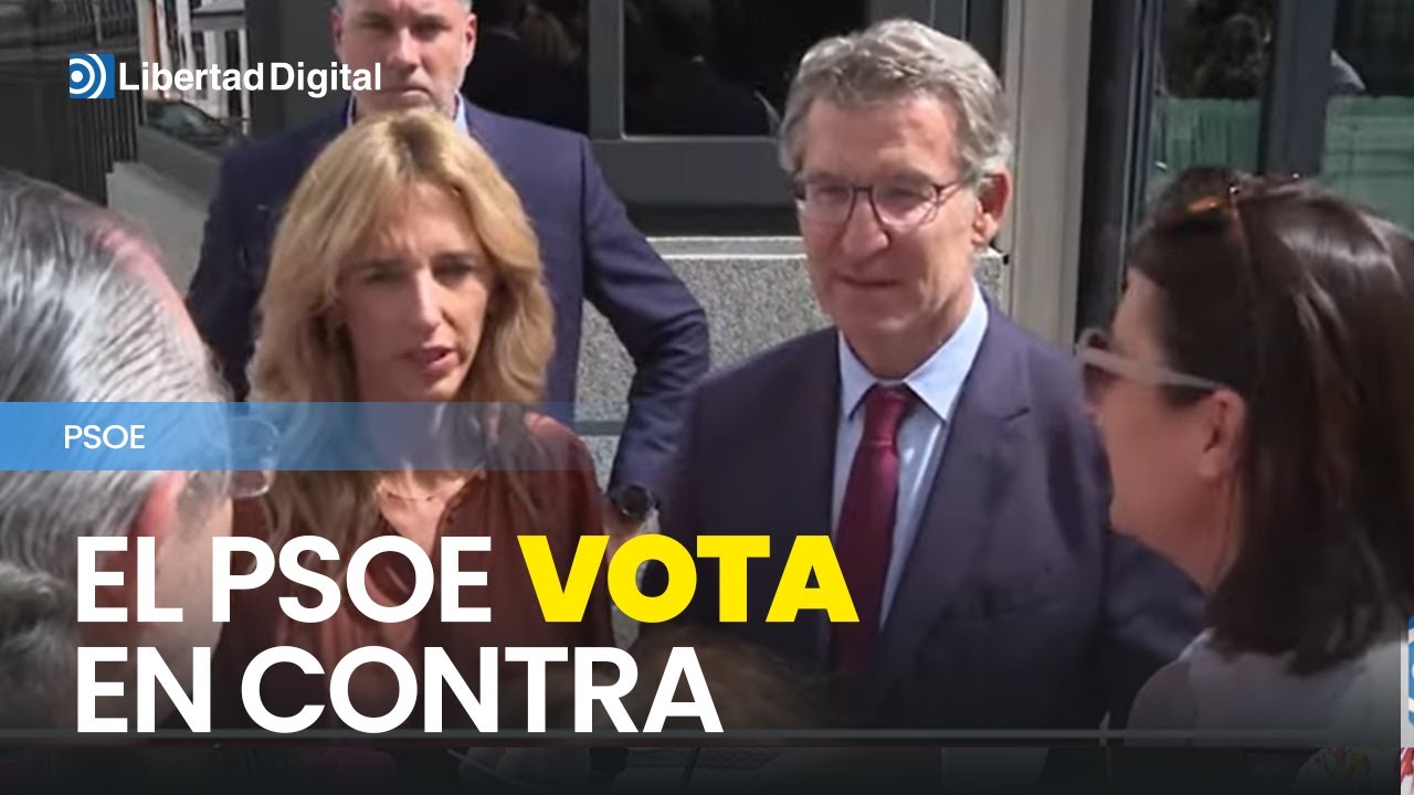 El PSOE vota en contra de reconocer a Edmundo González presidente de ...