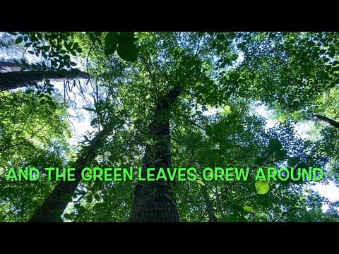 AND THE GREEN LEAVES GREW AROUND,cumulative song for kids, trees ...