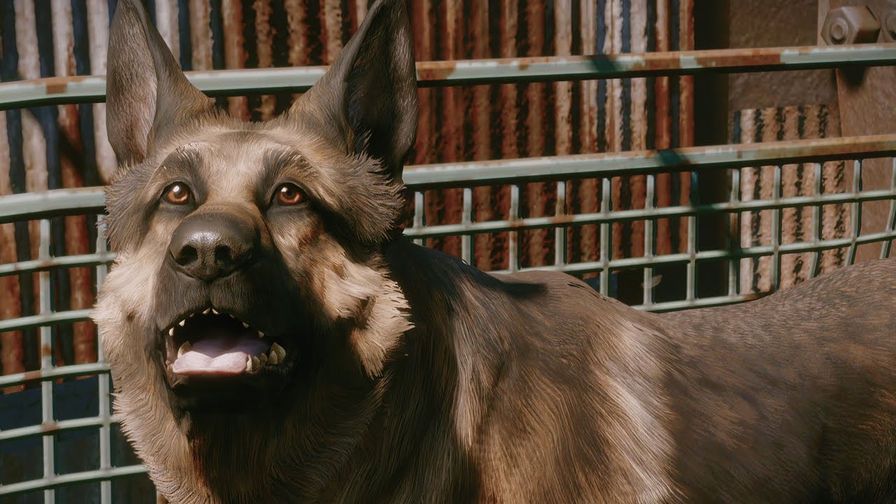 Meeting Dogmeat (alternate version) | Fallout 4 - YouTube