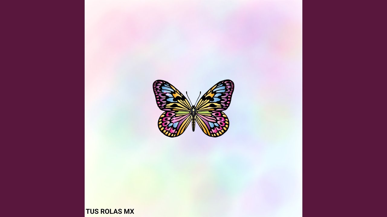 Welcome Spring Butterfly - YouTube