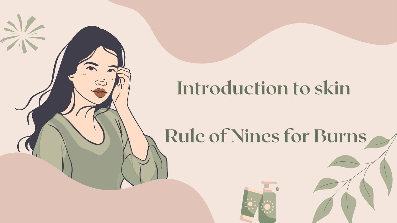 Introduction to skin | Rule of Nines for Burns | Anatomy | BD Chaurasia ...