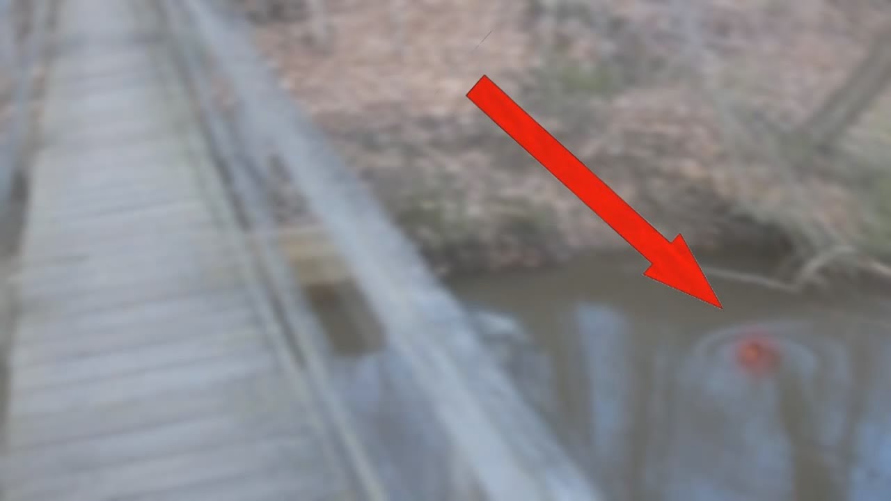 Rudolph the Red Nosed MERMAID?!!? WTF - YouTube