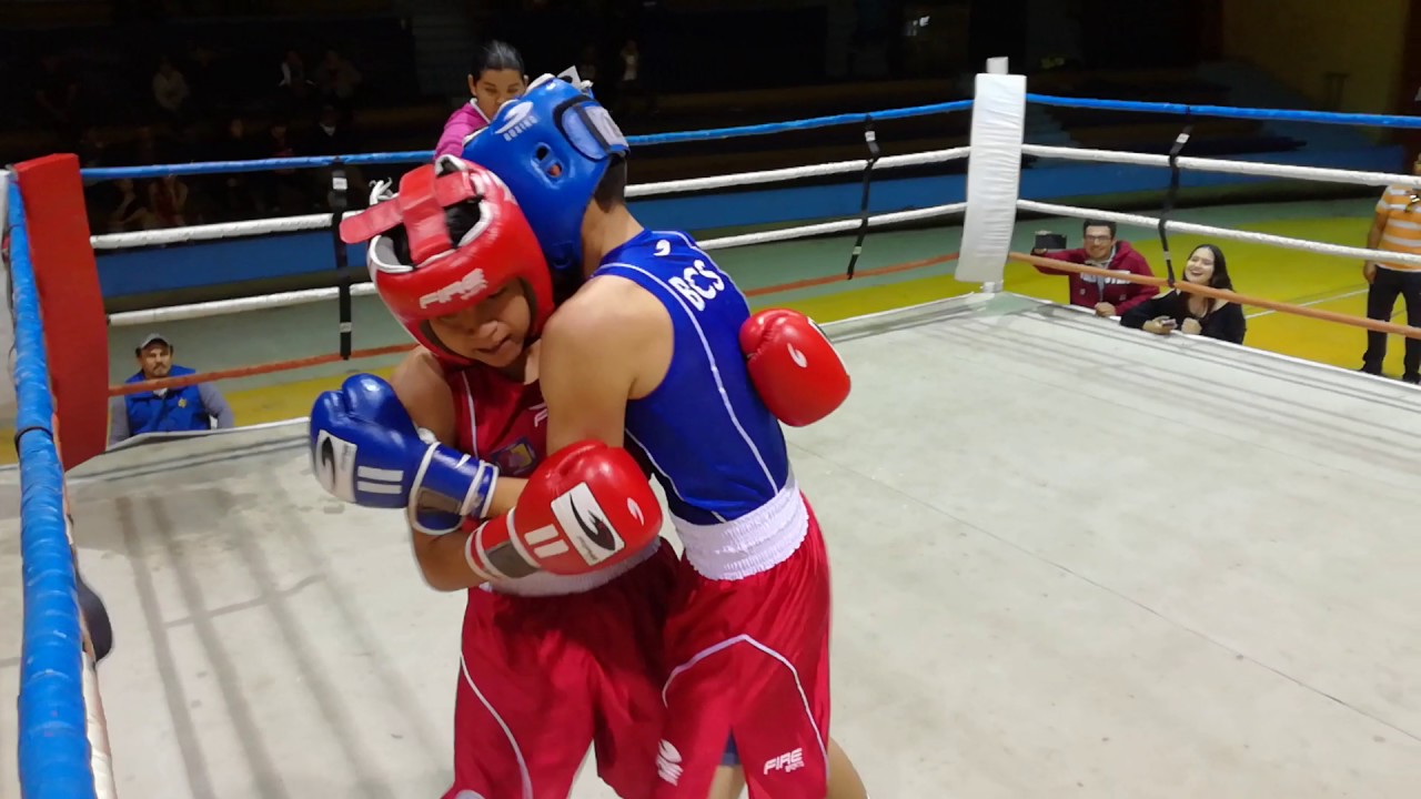 Enrique Amador Vs Nestor Pino Tato boxeo bcs - YouTube