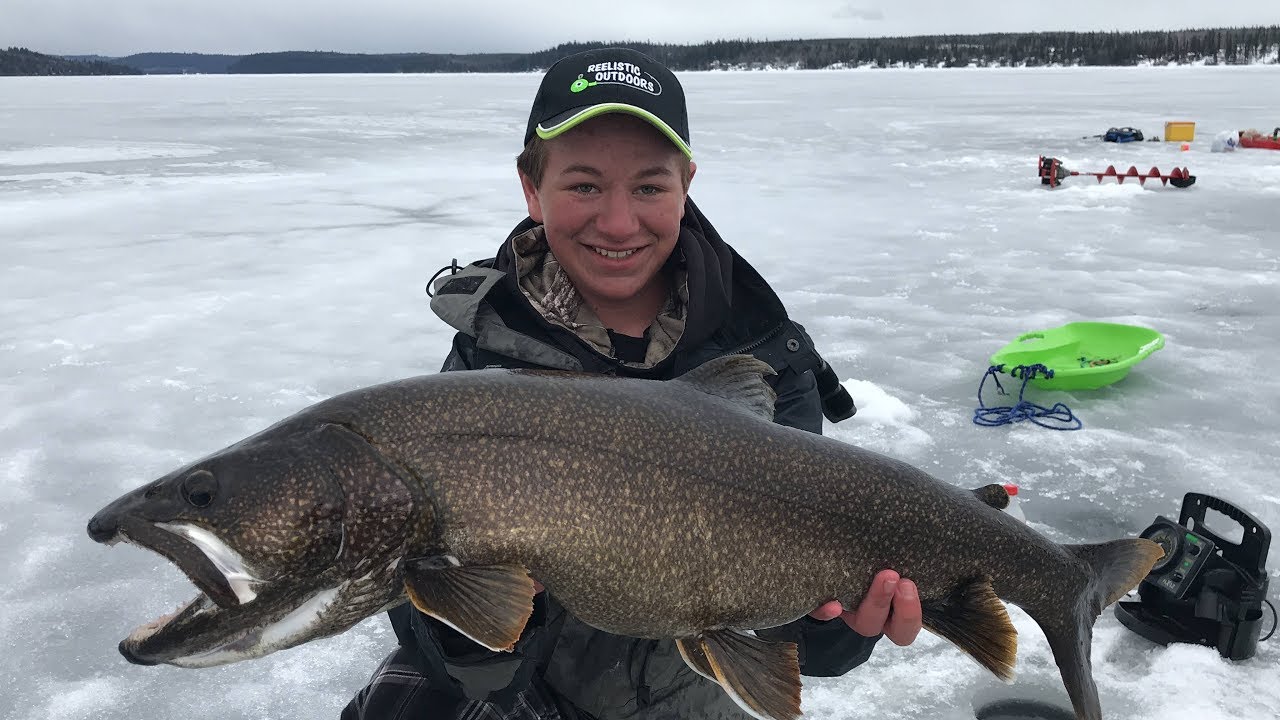 MONSTER Lake Trout Caught Through The Ice - YouTube