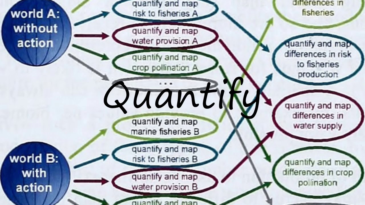 How to Pronounce Quantify? - YouTube