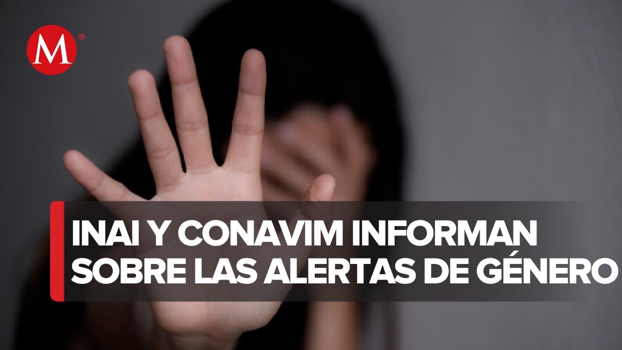 Inai Llama Al Conavim A Informar Sobre Alertas De Género Youtube