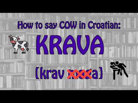 How to say COW in Croatian | Croatian Words - YouTube