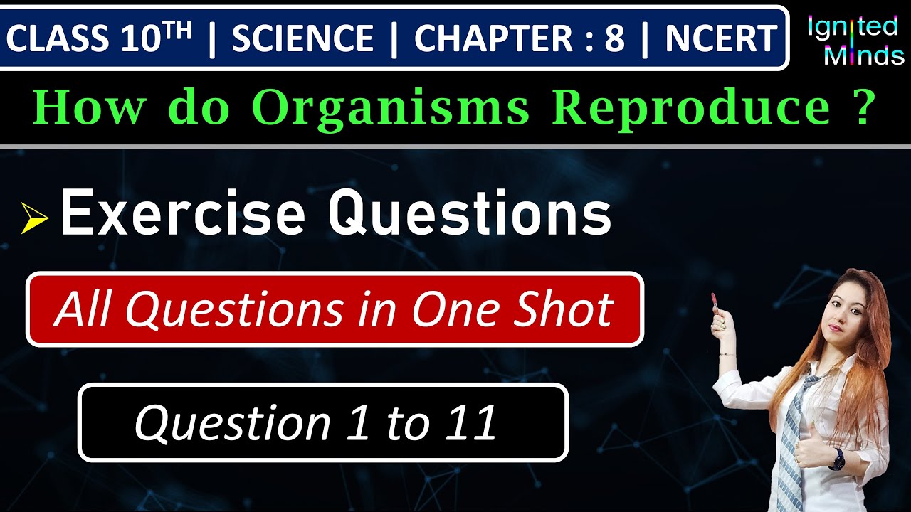 Class 10th Science Chapter 8 | Exercise Questions (1 to 11) | How do ...