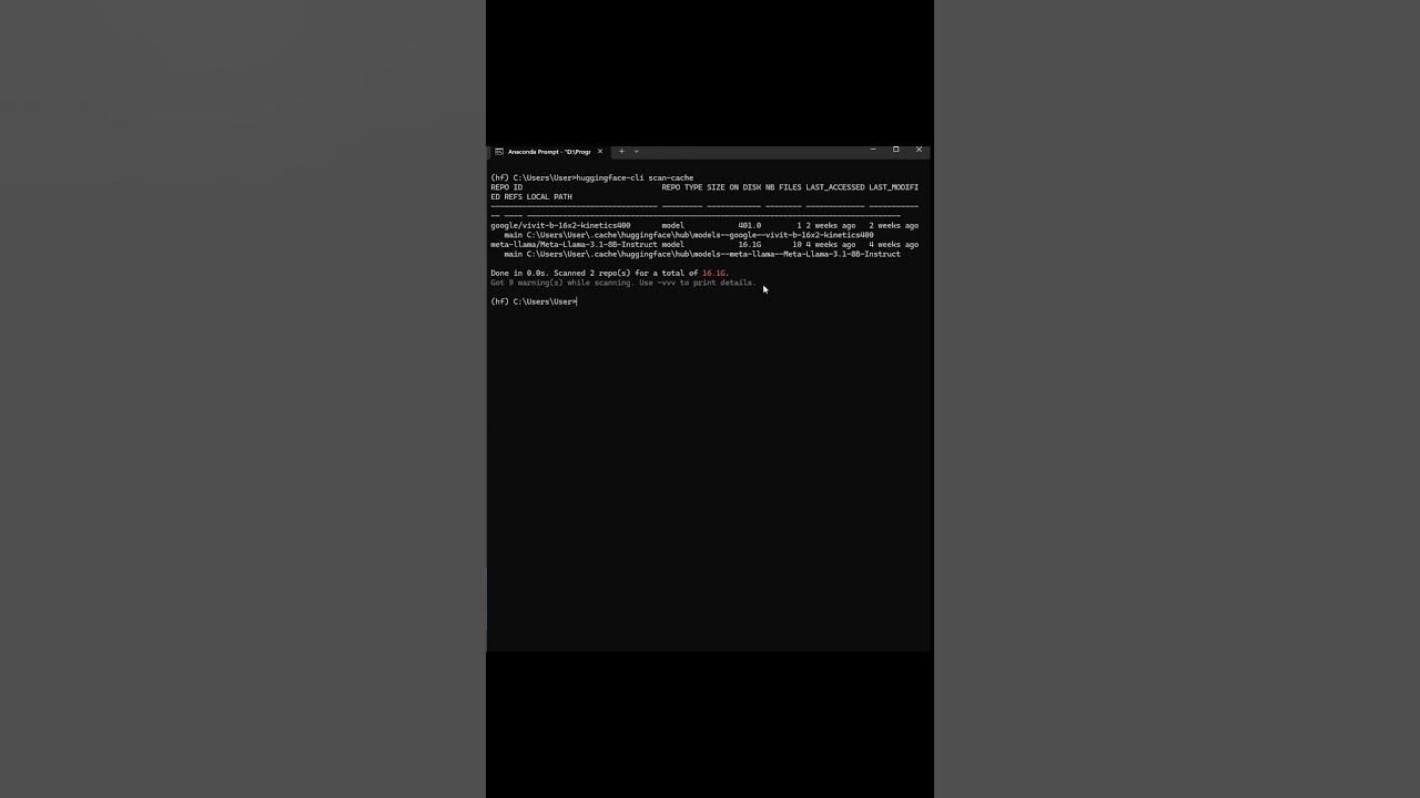 HuggingFace Hub: How to browse and delete Models from Local Cache #machinelearning #datascience ...