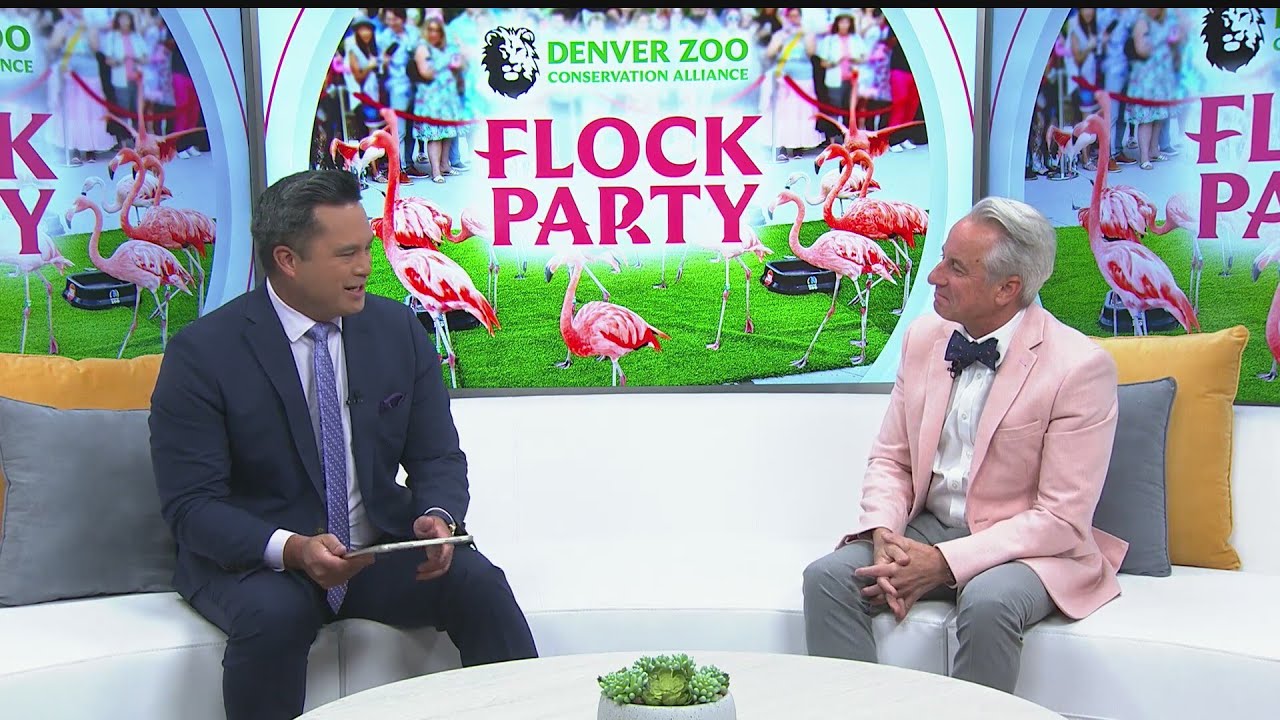 Denver Zoo Conservation Alliance hosts Flock Party - YouTube