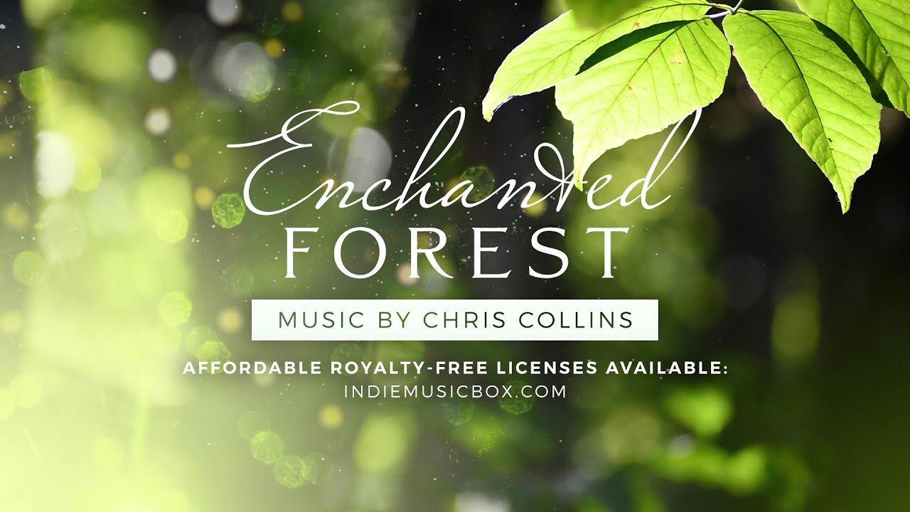 Enchanted Forest 🍃🎵 Chimes and Bells for Sound Healing - YouTube
