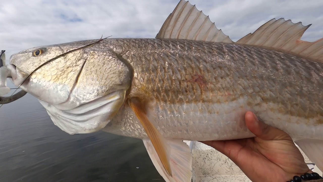 Arroyo City Fishing - YouTube