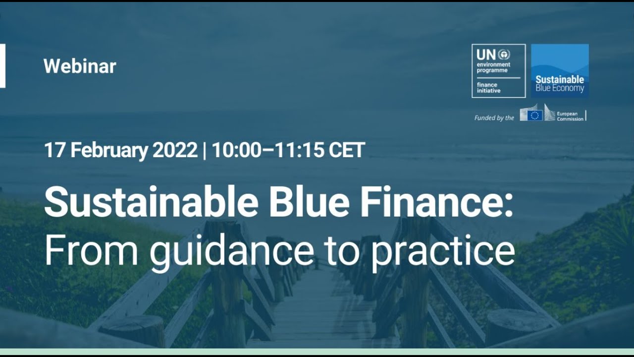 Sustainable blue finance: From guidance to practice - YouTube