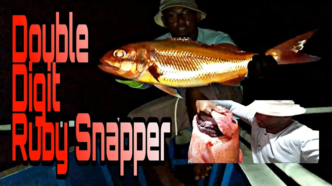 11&5kg Ruby Snapper | Night Fishing | SlowJigging | Bait&Wait - YouTube