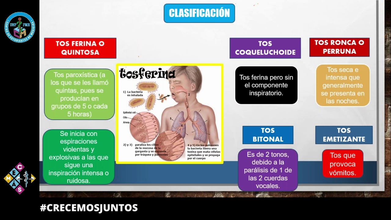 Semiología Respiratoria: Tos, expectoración y hemoptisis - YouTube