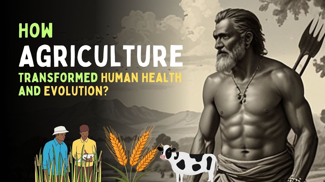 How Agriculture Transformed Human Health and Evolution | Ancient Humans ...