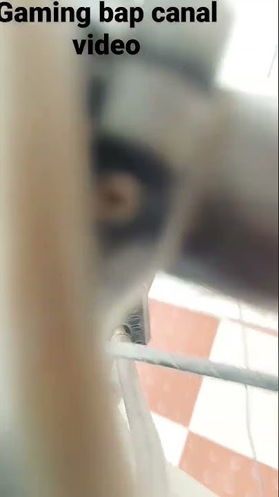 canal gaming bap jainam# jainam#tirth#falix - YouTube