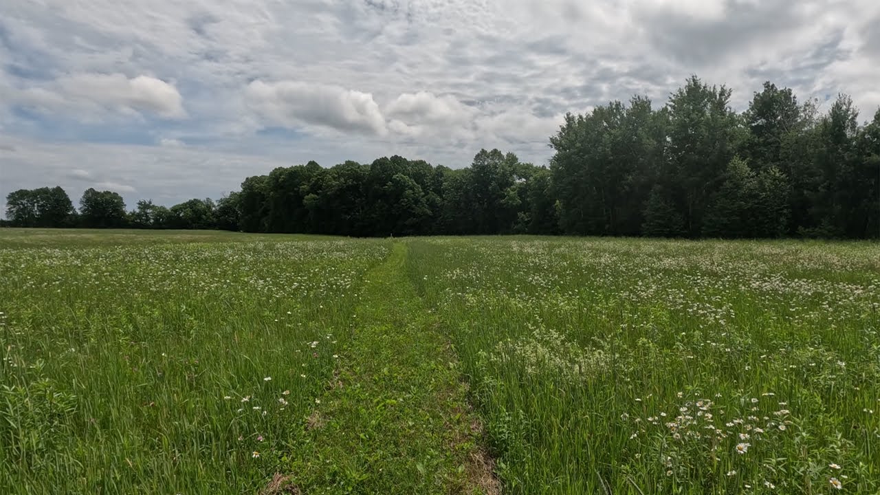 Ice Age National Scenic Trail (Chippewa Moraine Segment) - Rattlesnake ...