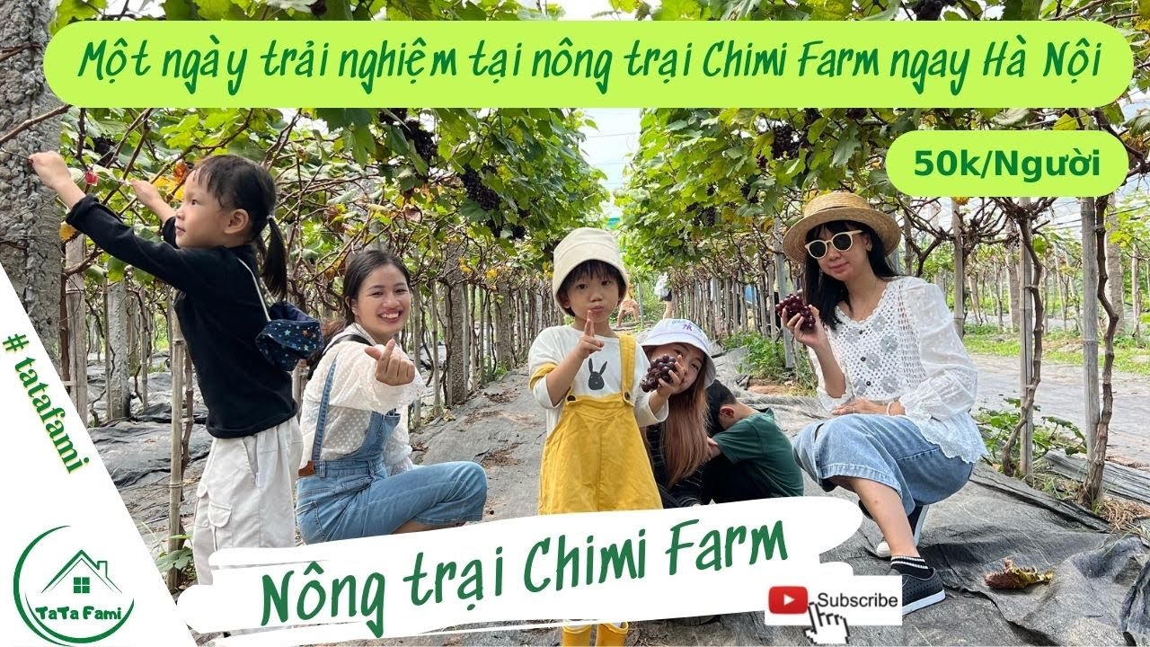 Trải nghiệm Nông Trại Chimi Farm I Cho trẻ ra ngoài chơi ngay Hà Nội I ...