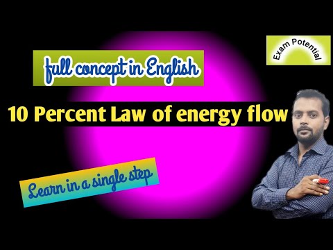 10 percent law of Energy Flow in English | Class 10 Bio | Class 12 Bio ...