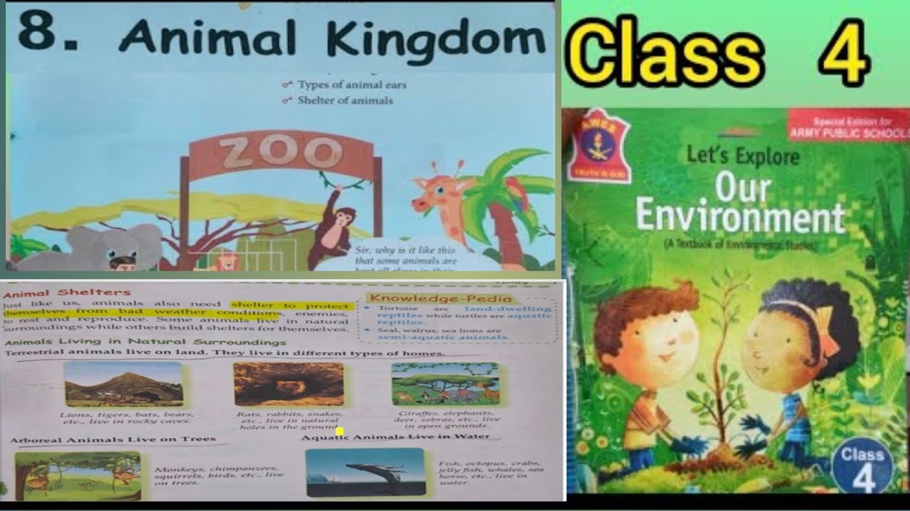 CHAPTER 8 ANIMAL KINGDOM CLASS 4 EVS - YouTube