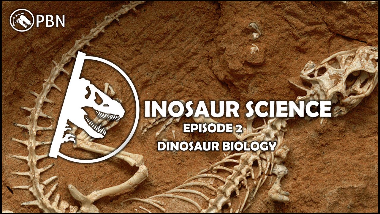 PBN | Dinosaur Science | Episode Two | Dinosaur Biology - YouTube