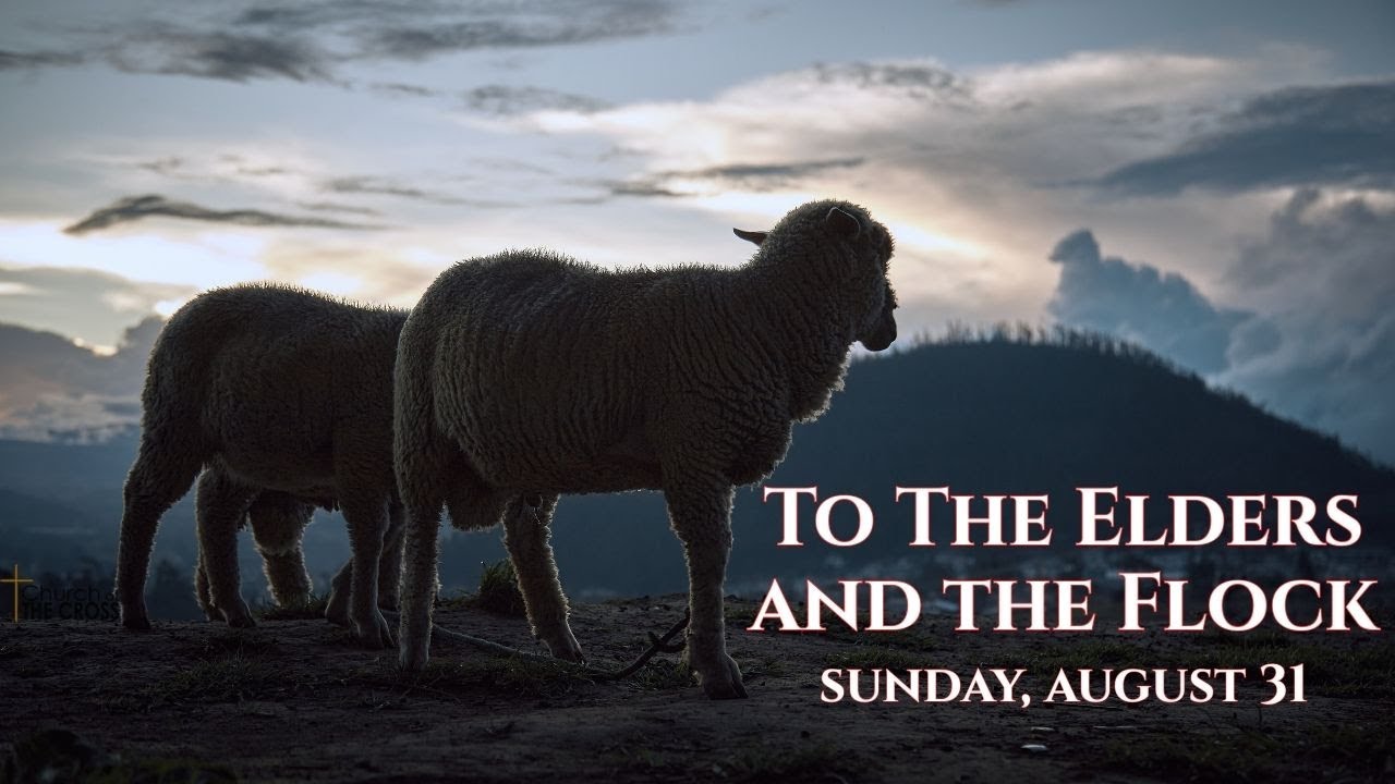 "To the Elders and the Flock" COTC Youth Sunday Service - 8/31/2025 ...