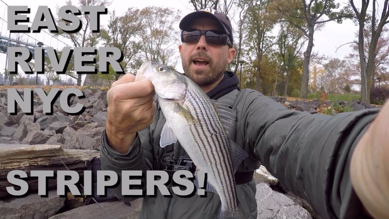 EAST RIVER NYC STRIPERS! - YouTube