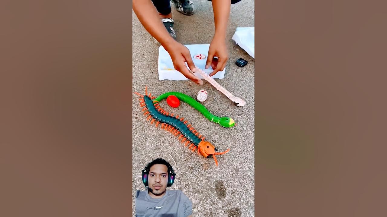 Remote control snakes #rcsnake #snake #experiment #toys #ruhulshorts # ...