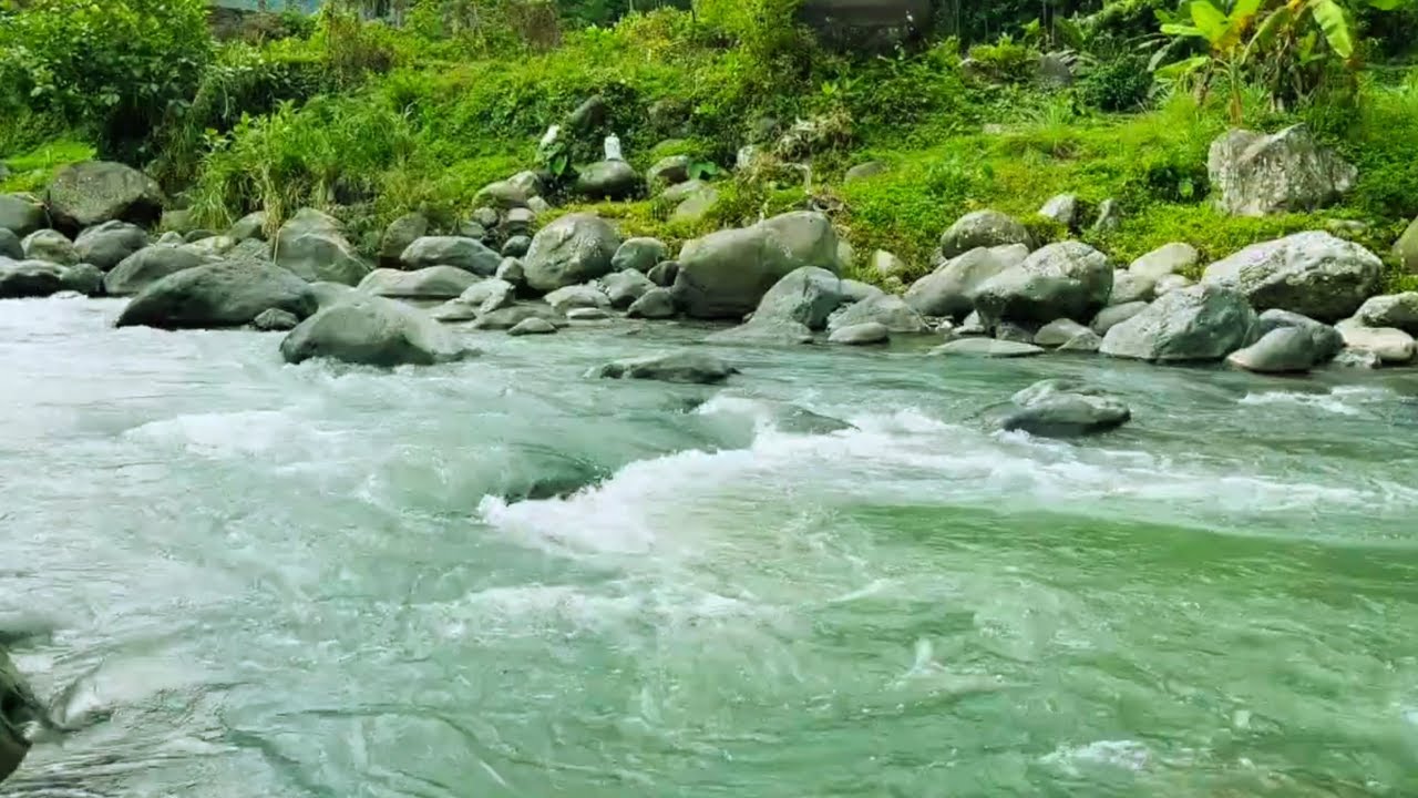 Soothing Sound of a River Flowing in a Rainforest. Soft River, White ...