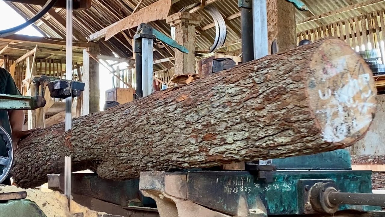 Wow amazing !! They cut pine wood using a bandsaw machine - YouTube
