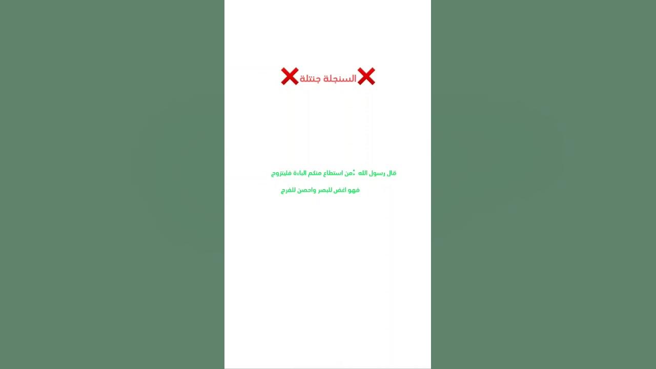 ️السنجلة جنتلة ️ Youtube