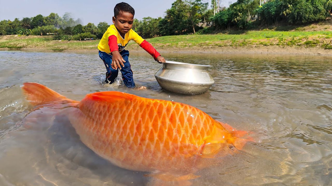 Amazing Unique Hand Fishing Technique Form River Village Boy Hunting ...