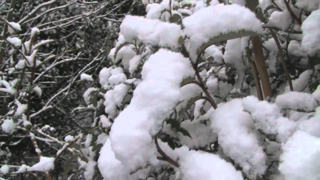 Snow 18th December 2010 Kirk Michael Isle of Man - YouTube