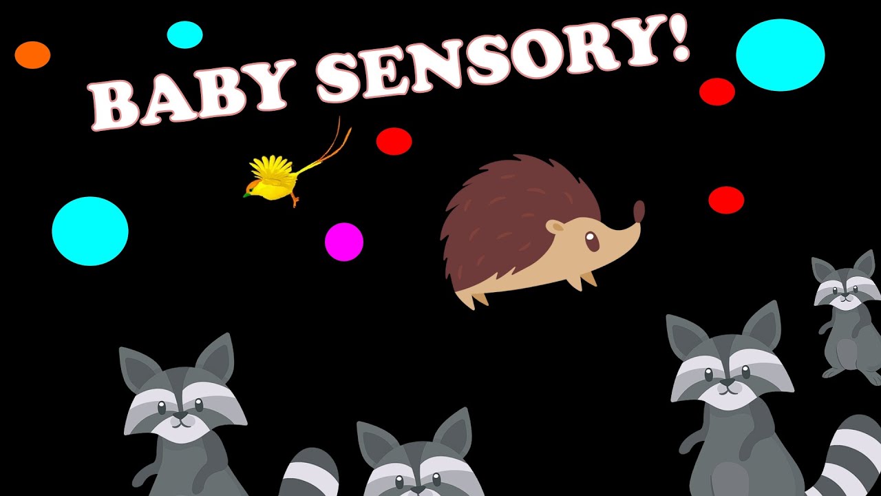 Baby Sensory!! Animated Animals With Music! Estimulación Temprana ...