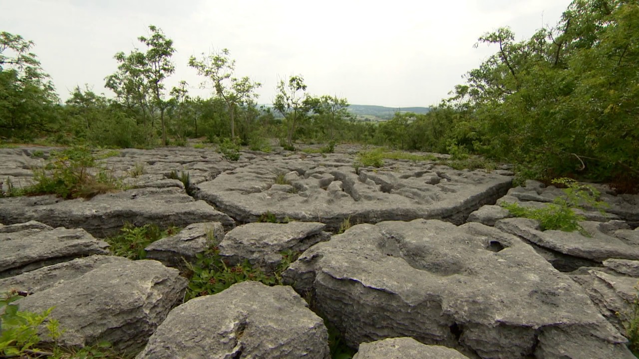 Limestone pavement at Hutton Roof Crags Nature Reserve - YouTube