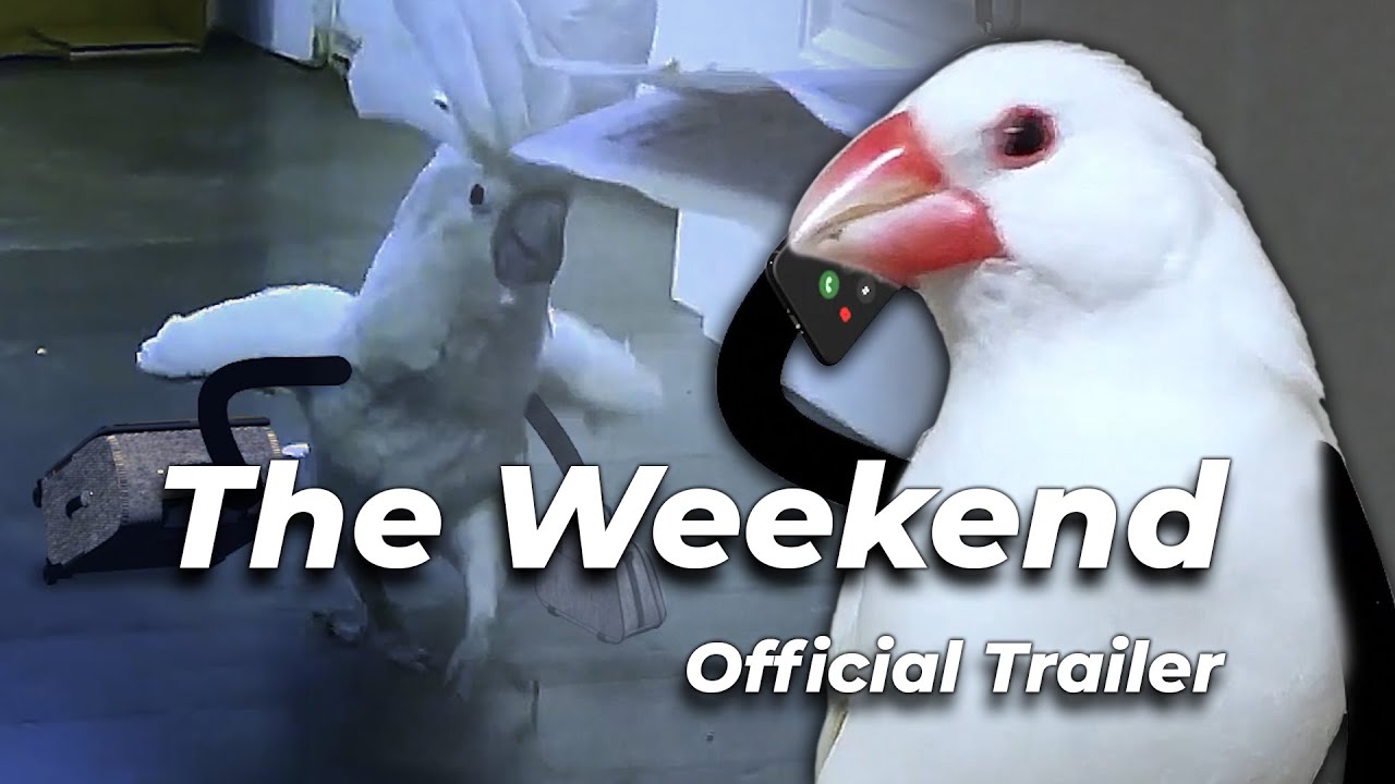 THE WEEKEND | Official Trailer | Release Date: May 7th - YouTube