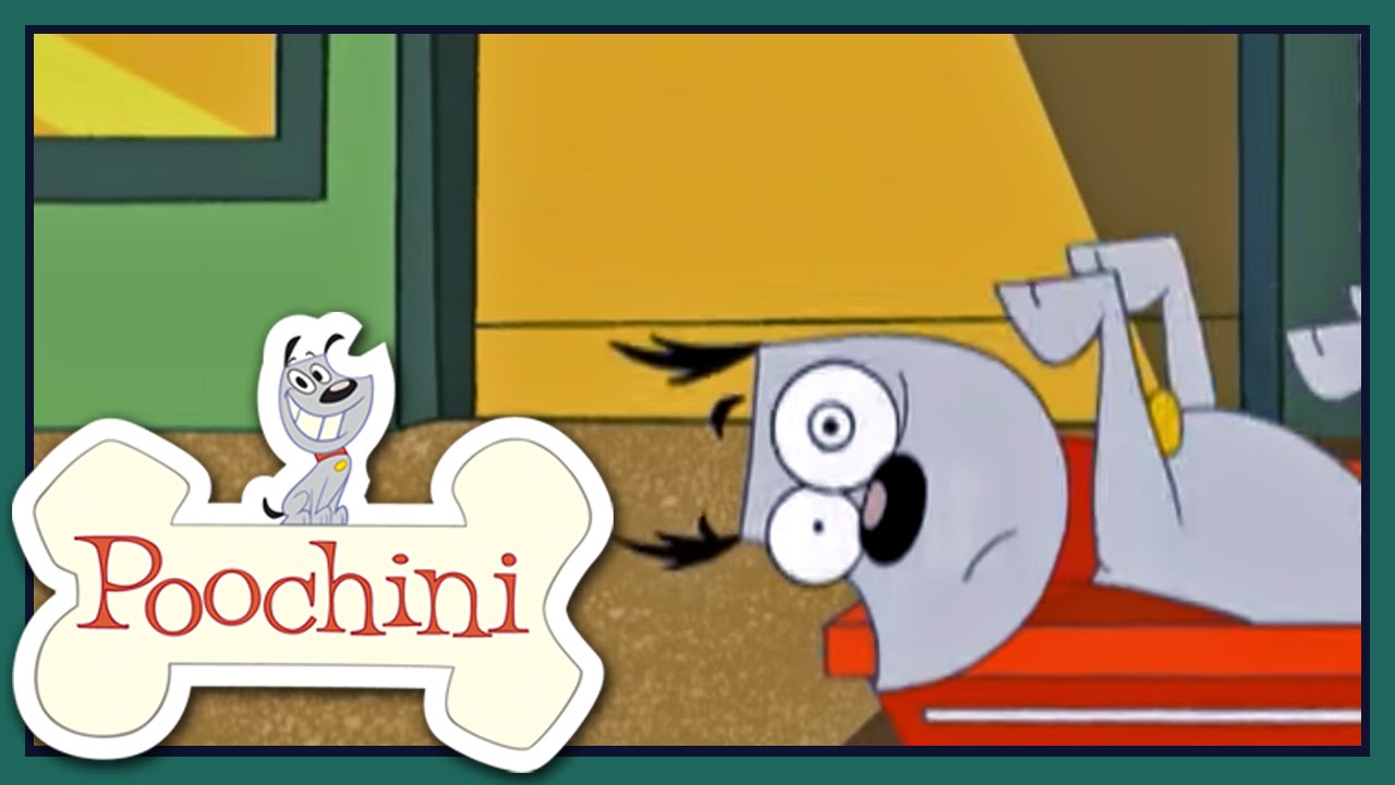 Poochini Capítulo 22-24 - YouTube