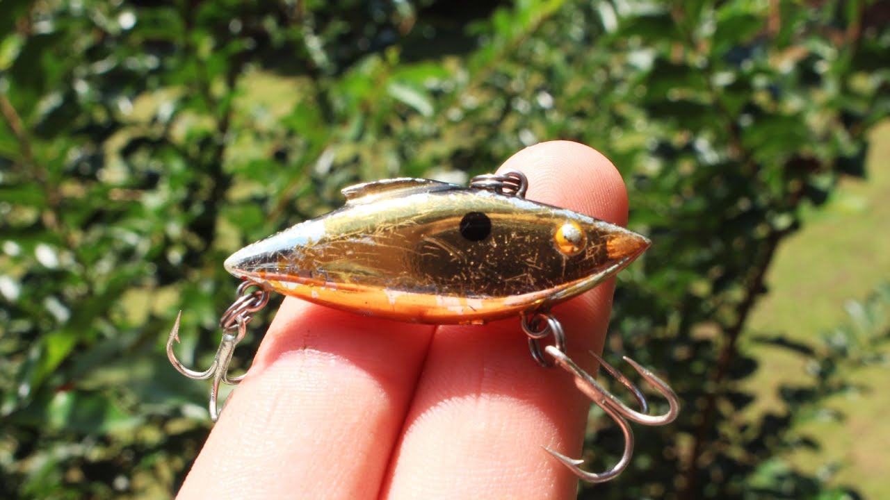 Using TINY lures in a TROPHY pond! - Micro Fishing - YouTube