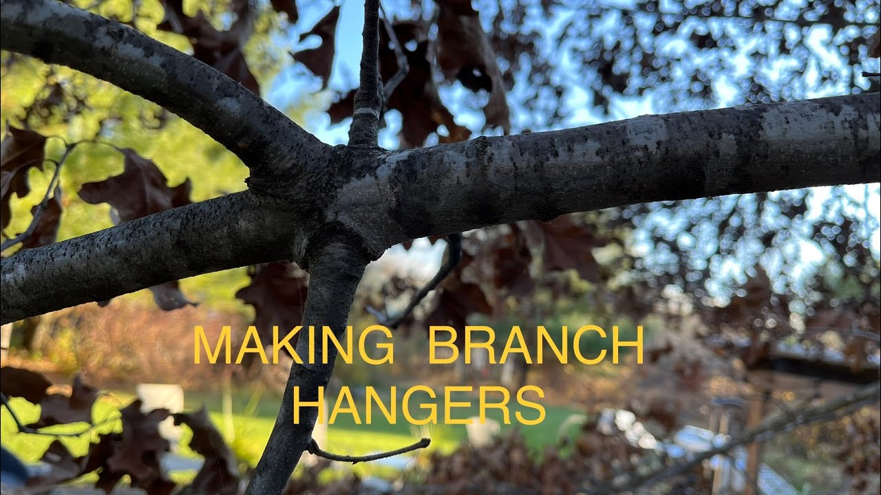 How to make rustic hangers from tree branches - YouTube