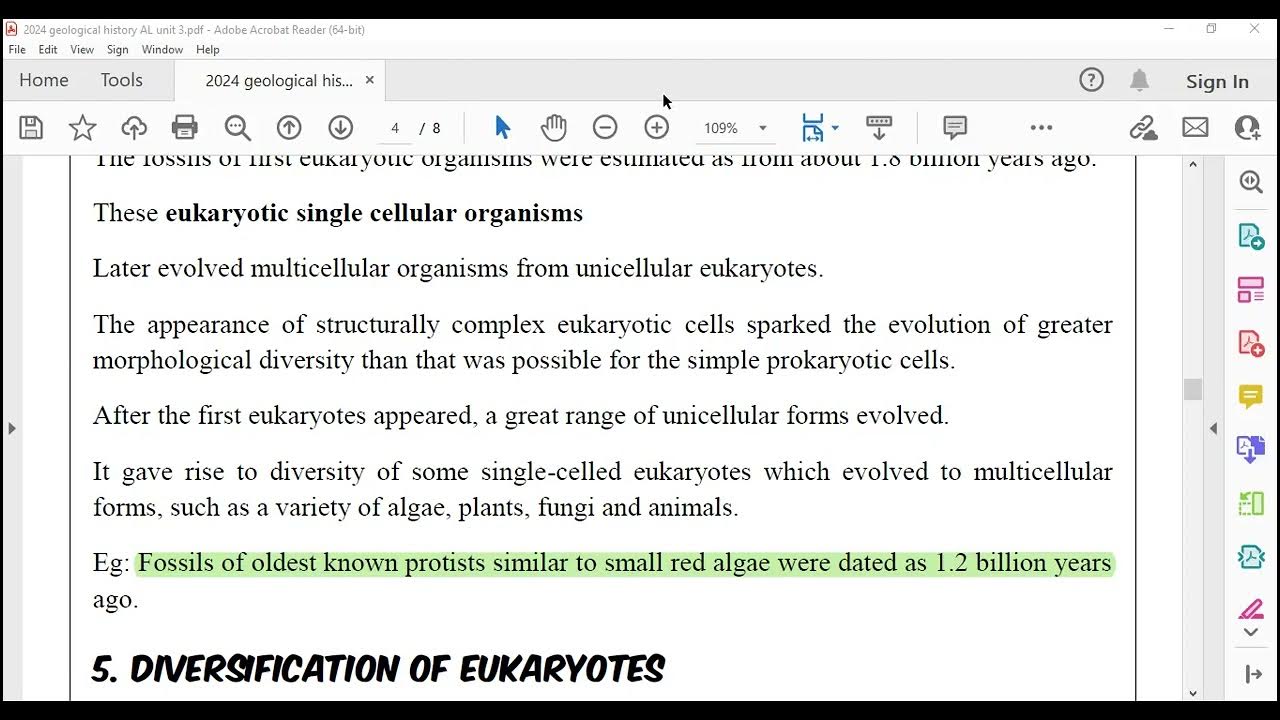 AL unit 3 Day 2 - YouTube
