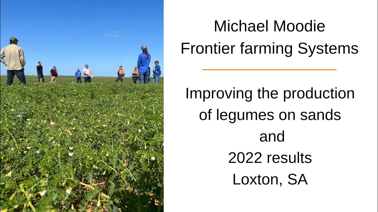 Michael Moodie - Improving the production of legumes on sandy soils ...