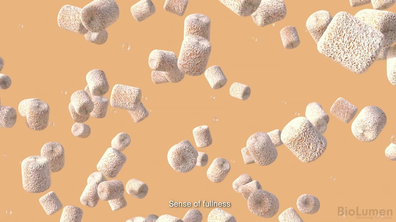 BioLumen Pitch Animation - YouTube