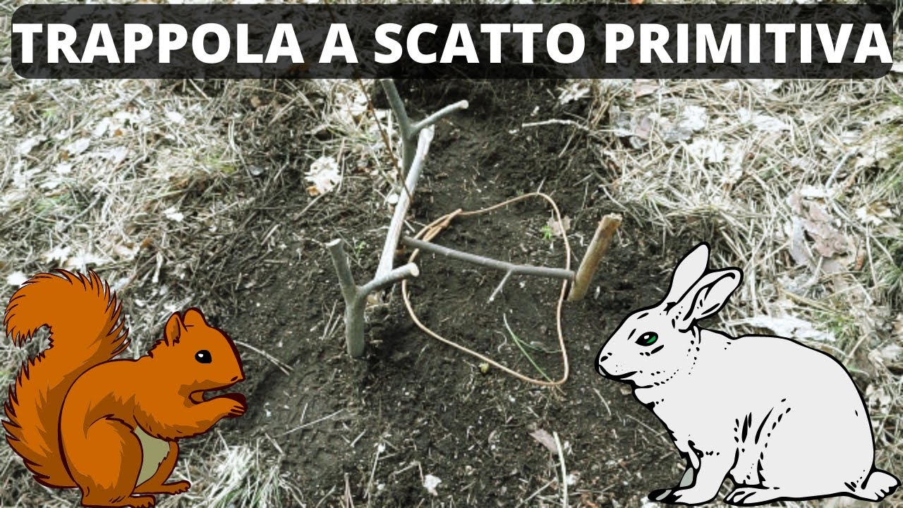 TRAPPOLA A SCATTO PER ANIMALI. TUTORIAL SU COME COSTRUIRE UNA TRAPPOLA ...
