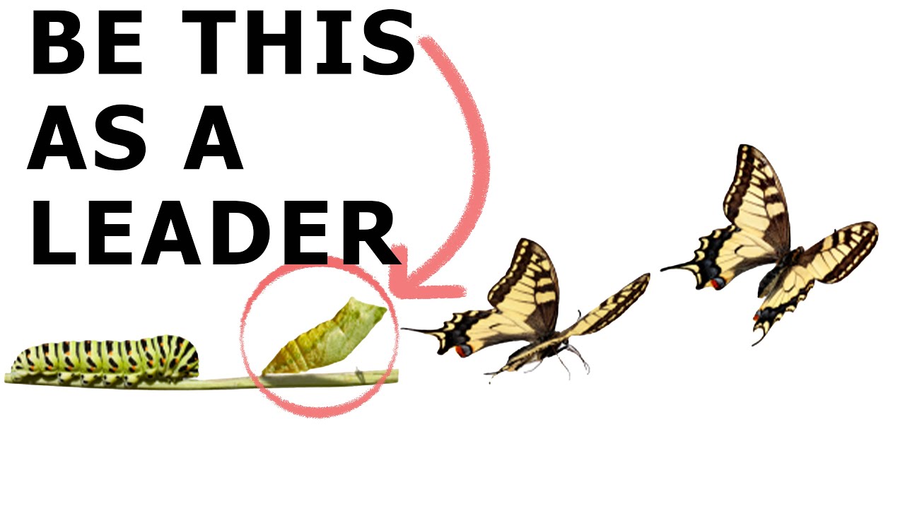 In a state of Chrysalis: A Leader's Growth Mindset #development - YouTube