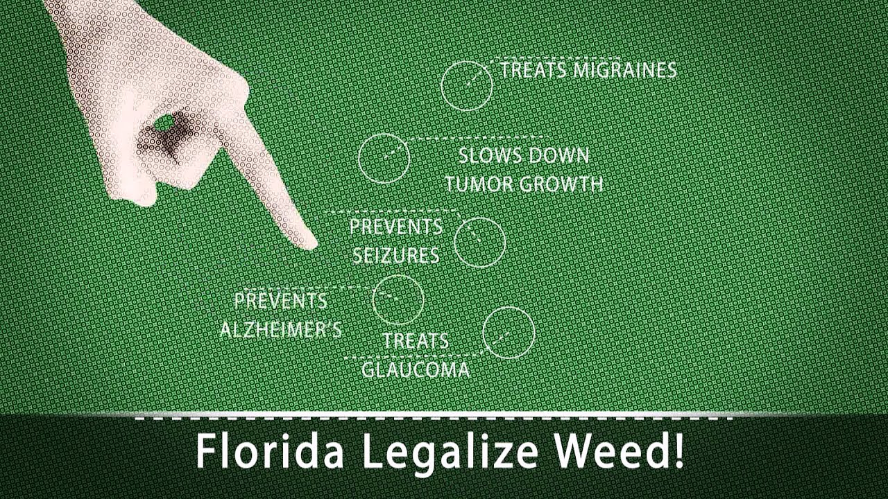 Legalization of marijuana in Florida - YouTube