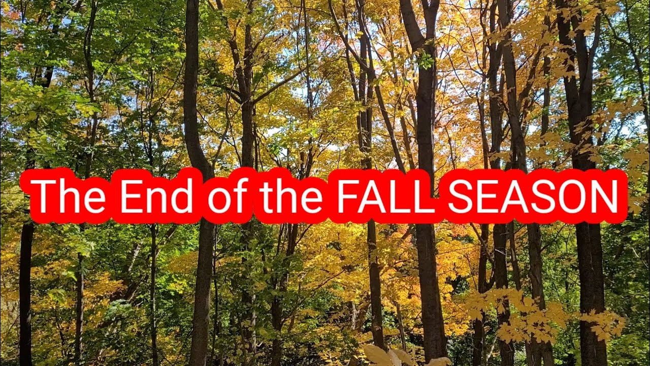 FALL SEASON; The end of the Fall Season 2022 - YouTube