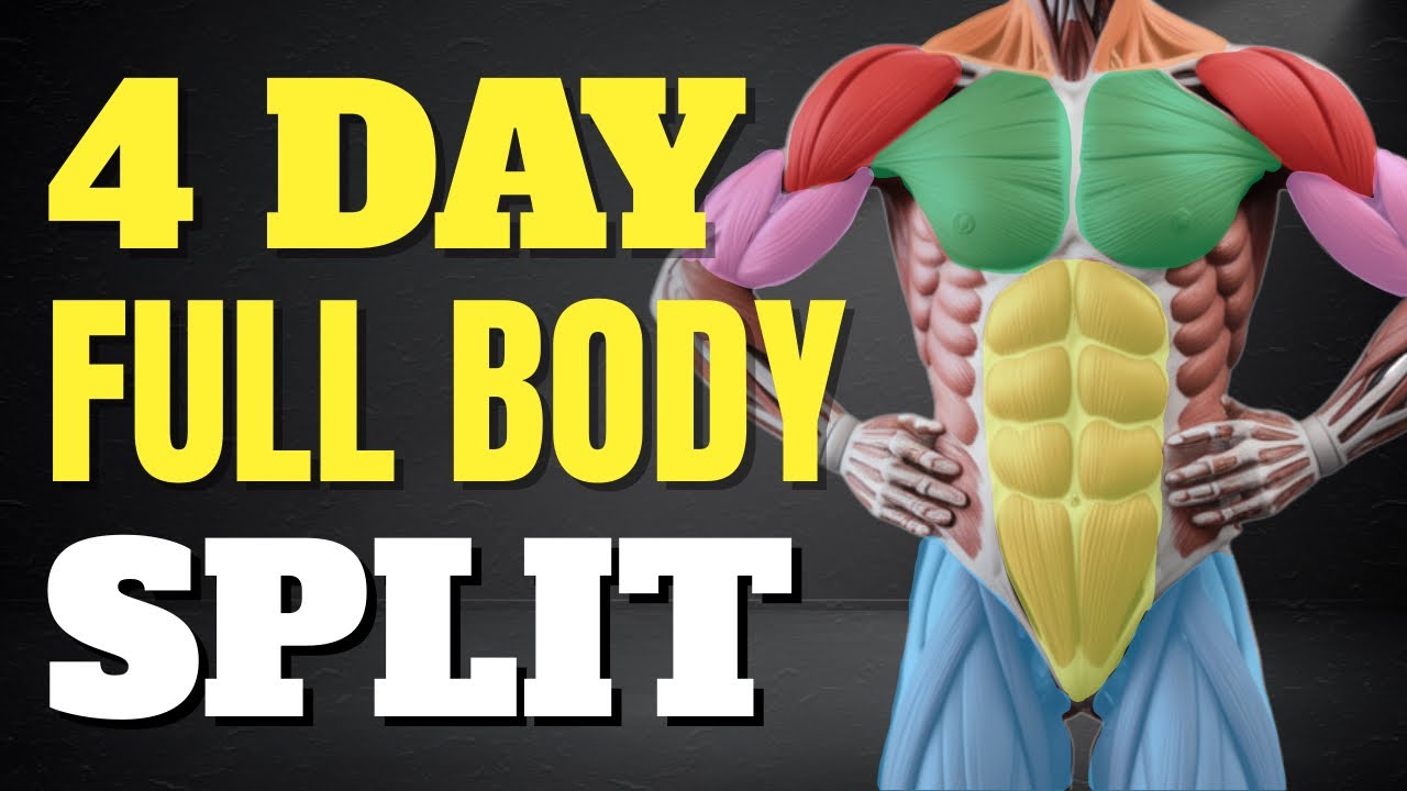 The BEST Full Body Workout (4 Days a Week) - YouTube